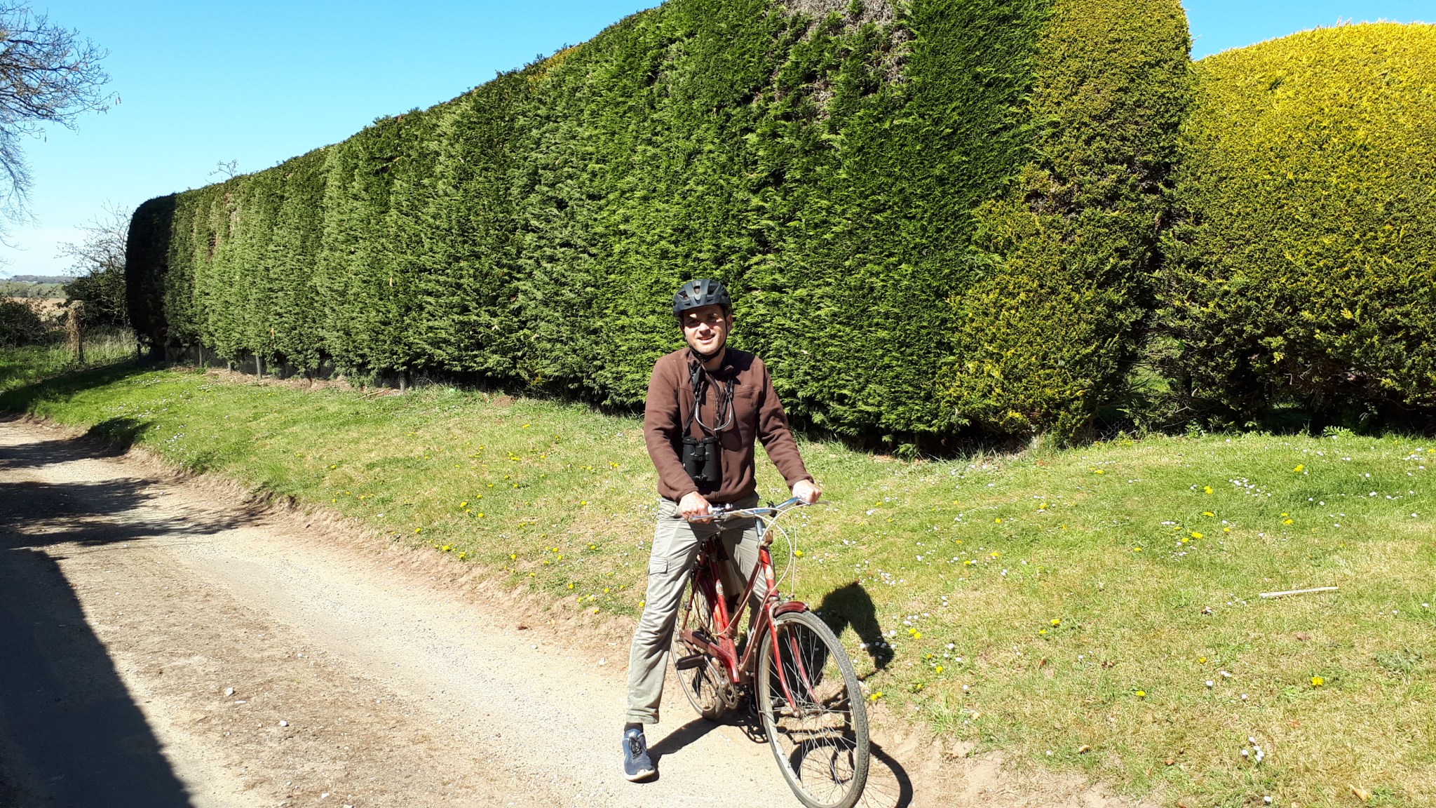 Birding with a breeze: on birdwatchers and bicycles – Low-Carbon Birding